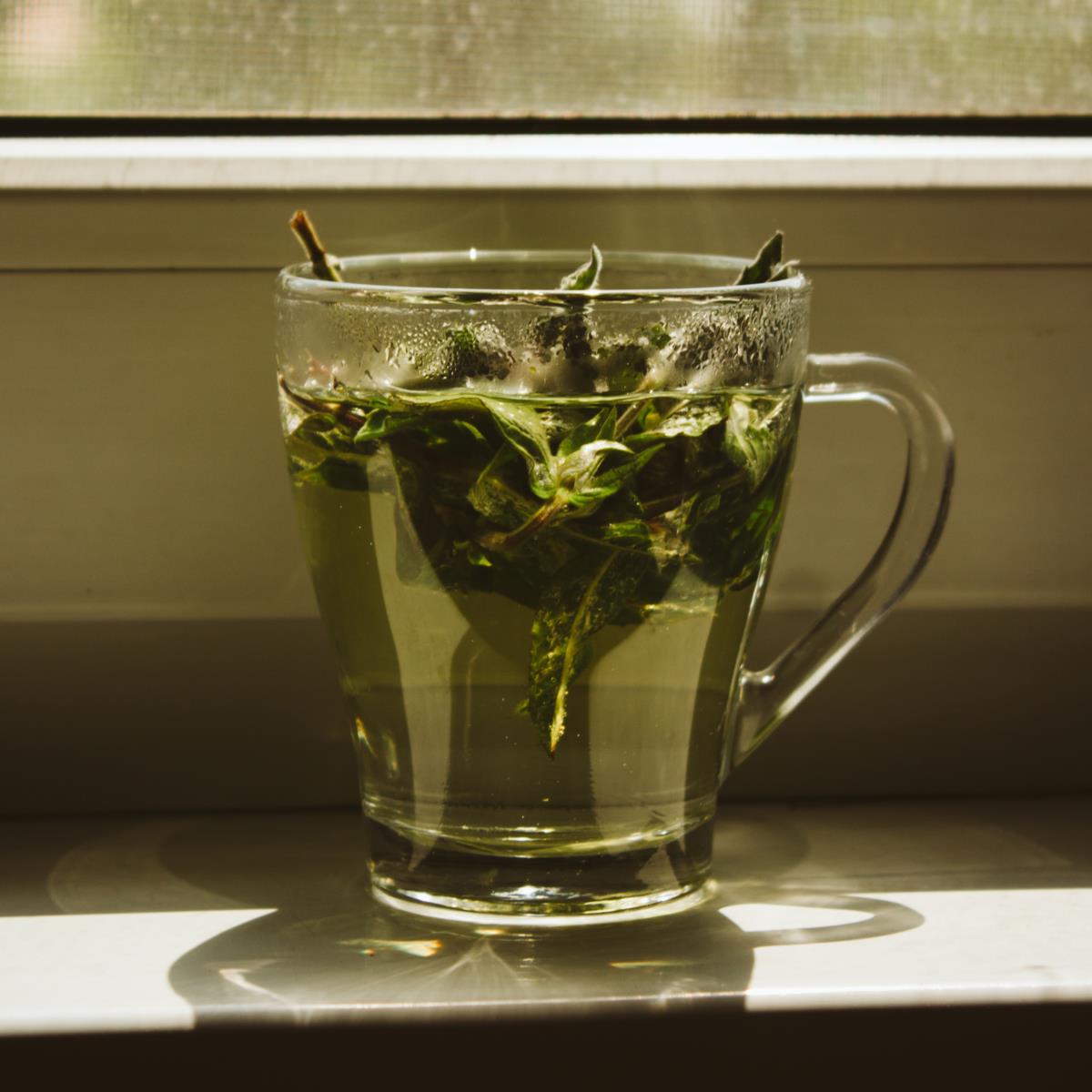 Nya superingrediensen för din hud: grönt te! | lyko.com