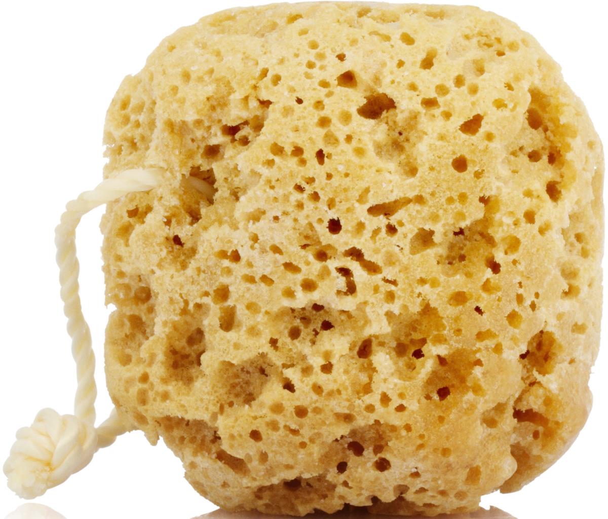 Alma K Dead Sea Minerals Soap Infused Bath Sponge | lyko.com