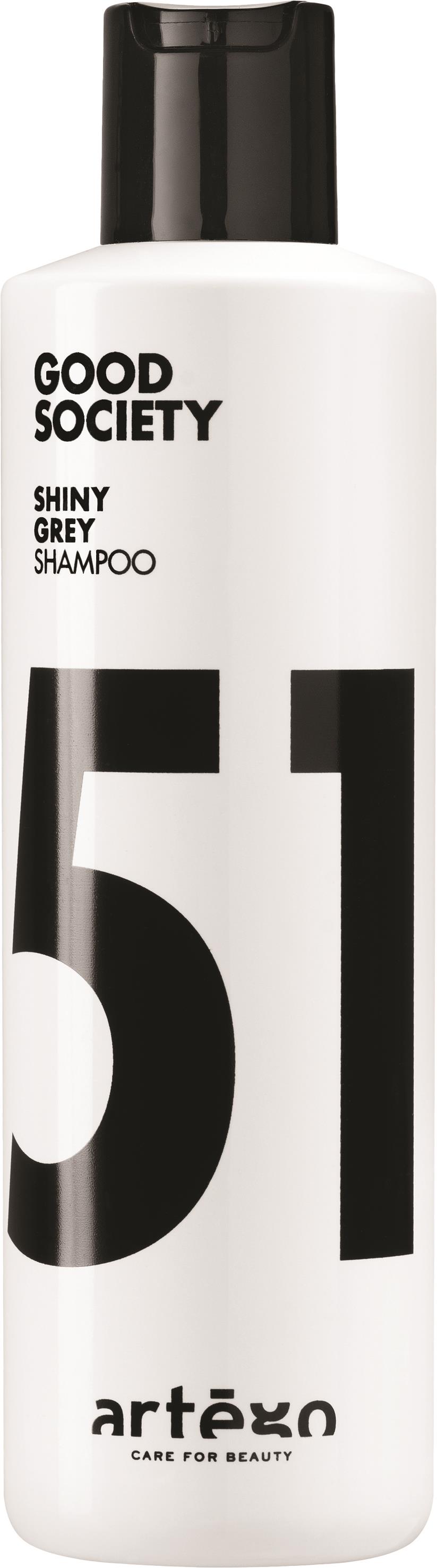 Artègo Good Society GS51 Shiny Grey Shampoo 250 ml | lyko.com