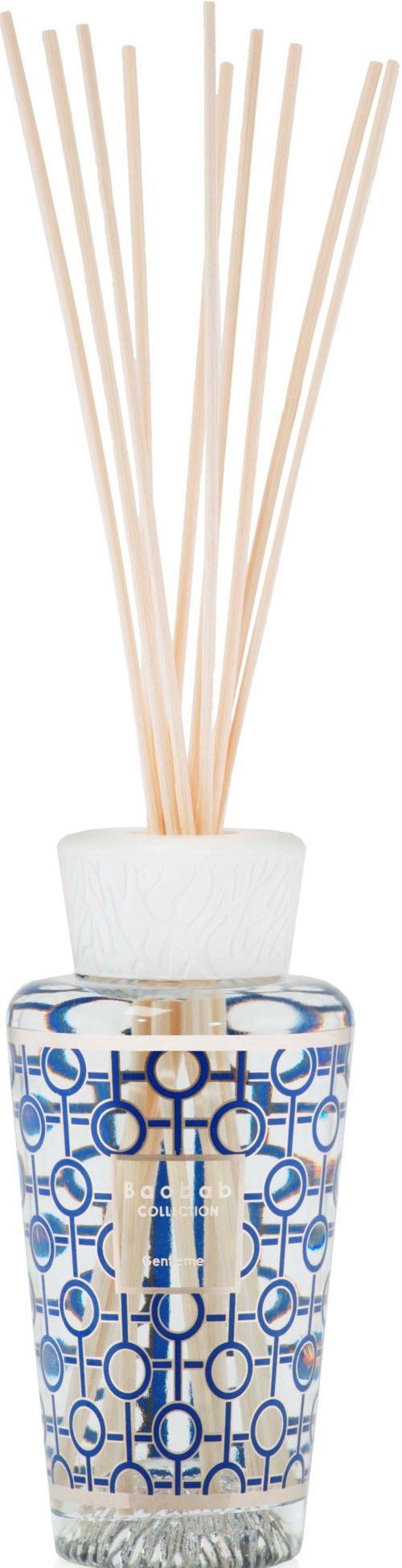 Baobab Collection Gentlemen Fragrance Diffuser 250 ml | lyko.com