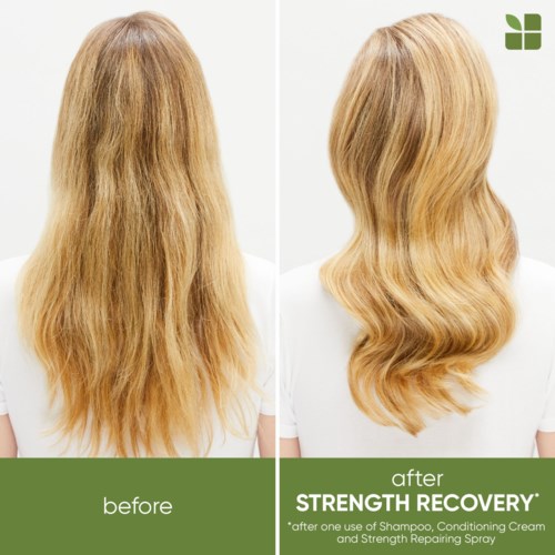 Biolage Strength Recovery Routine for damaged hair | lyko.com