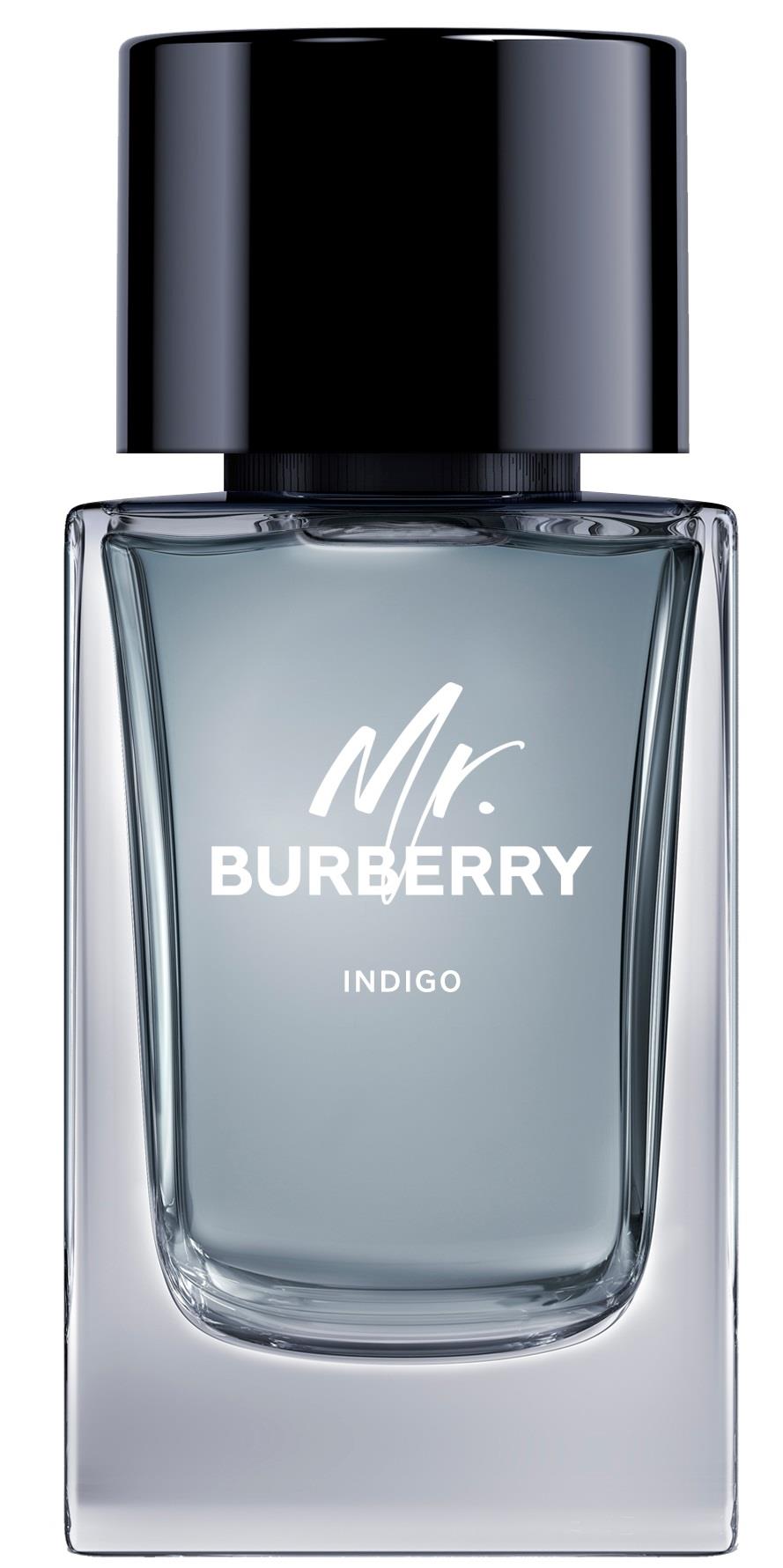 Burberry Mr Burberry Indigo EdT 100 ml | lyko.com