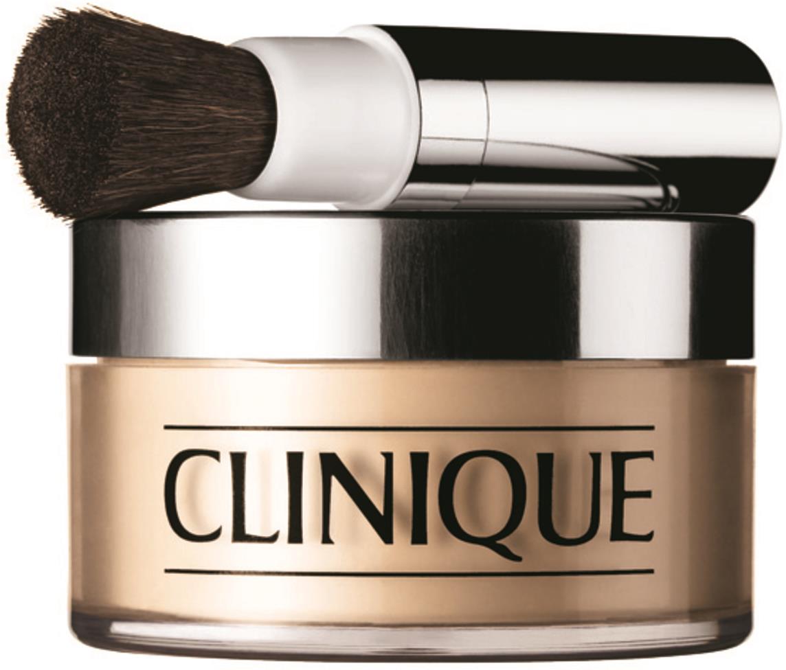 Clinique Blended Face Powder / Brush Transparency Neutral | lyko.com