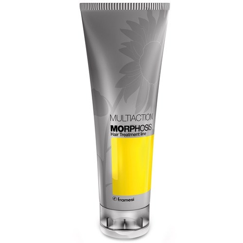 Framesi Morphosis Multiaction Mask 250 ml | lyko.com