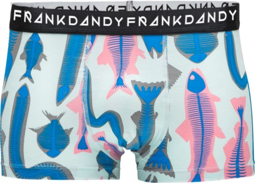 Frank Dandy Vår 2015 Fishbone Trunk Mint M | lyko.com
