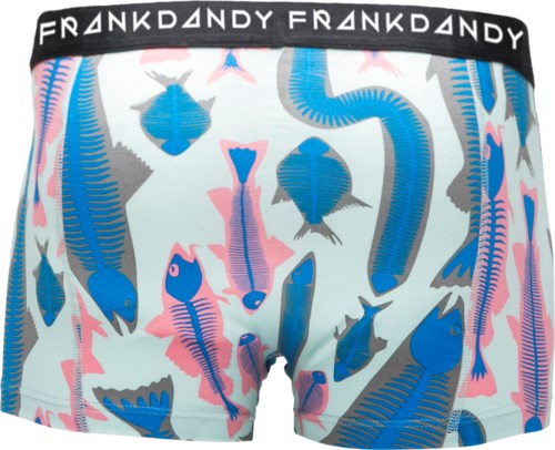Frank Dandy Vår 2015 Fishbone Trunk Mint M | lyko.com