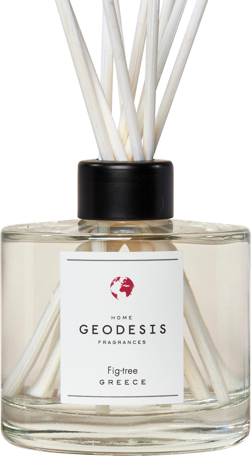 Geodesis Diffuser FIGTREE/Gtrekland | lyko.com