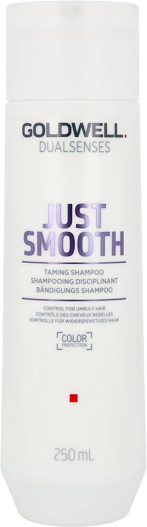 Goldwell Dualsenses Just Smooth Taming Shampoo 250 ml | lyko.com