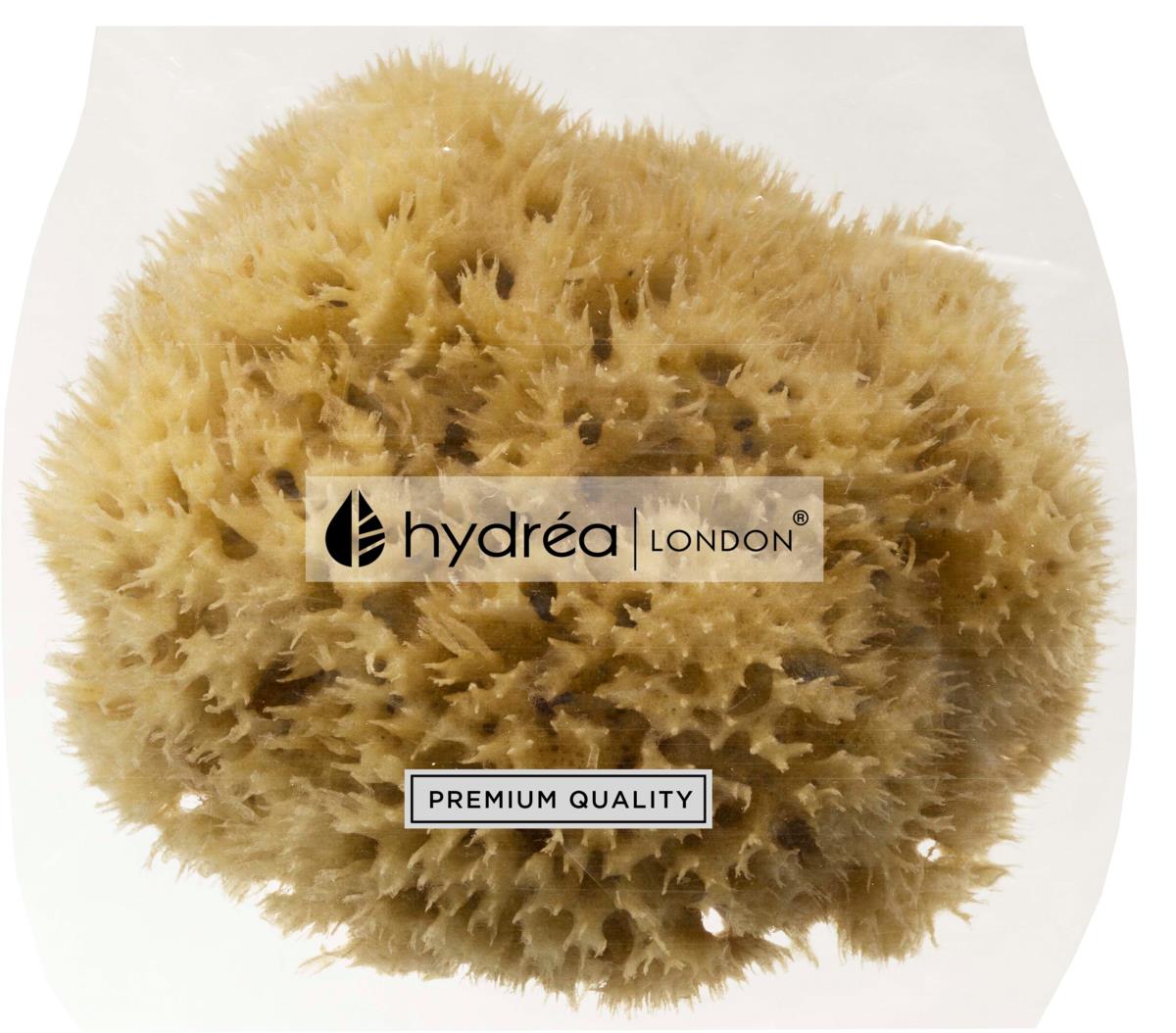Hydréa London Honeycomb Sea Sponge | lyko.com