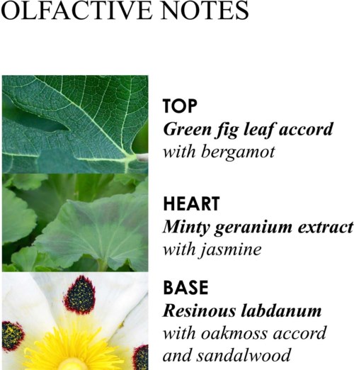 Molton Brown Geranium Nefertum Bath & Body Collection | lyko.com