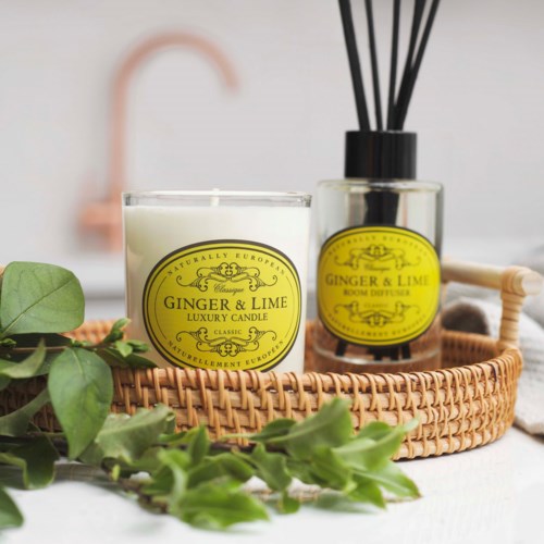 Naturally European Ginger & Lime Diffuser 100 ml | lyko.com