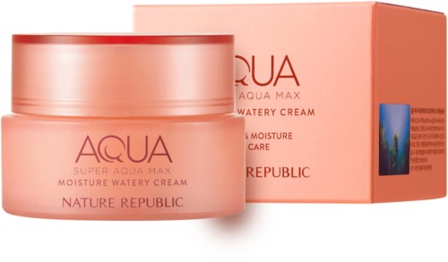 Nature Republic Super Aqua Max Moisture Watery Cream 80 ml | lyko.com