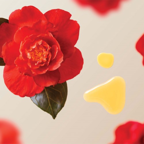 Rituals Elixir Collection Intense Hair Oil 45 ml | lyko.com