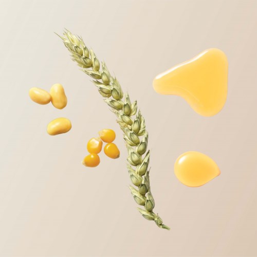 Rituals Elixir Collection Miracle Keratin Recovery Hair Mask 200 ml ...