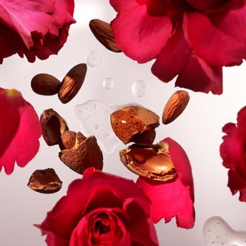 Rituals The Ritual of Ayurveda Dry Oil 100 ml | lyko.com