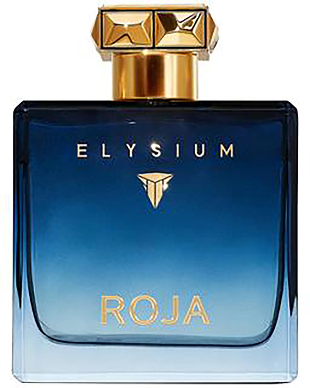 ROJA Elysium Pour Homme Eau de Parfum 100 ml | lyko.com