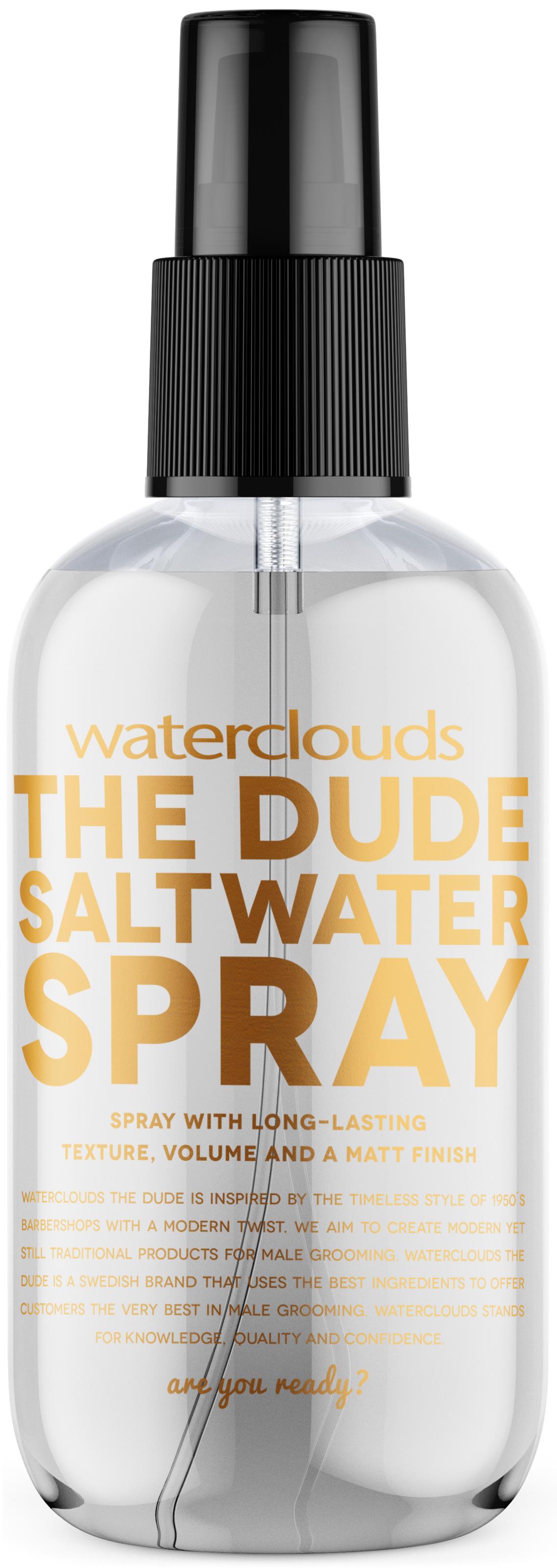 Waterclouds The Dude Saltwater Spray 150 ml | lyko.com