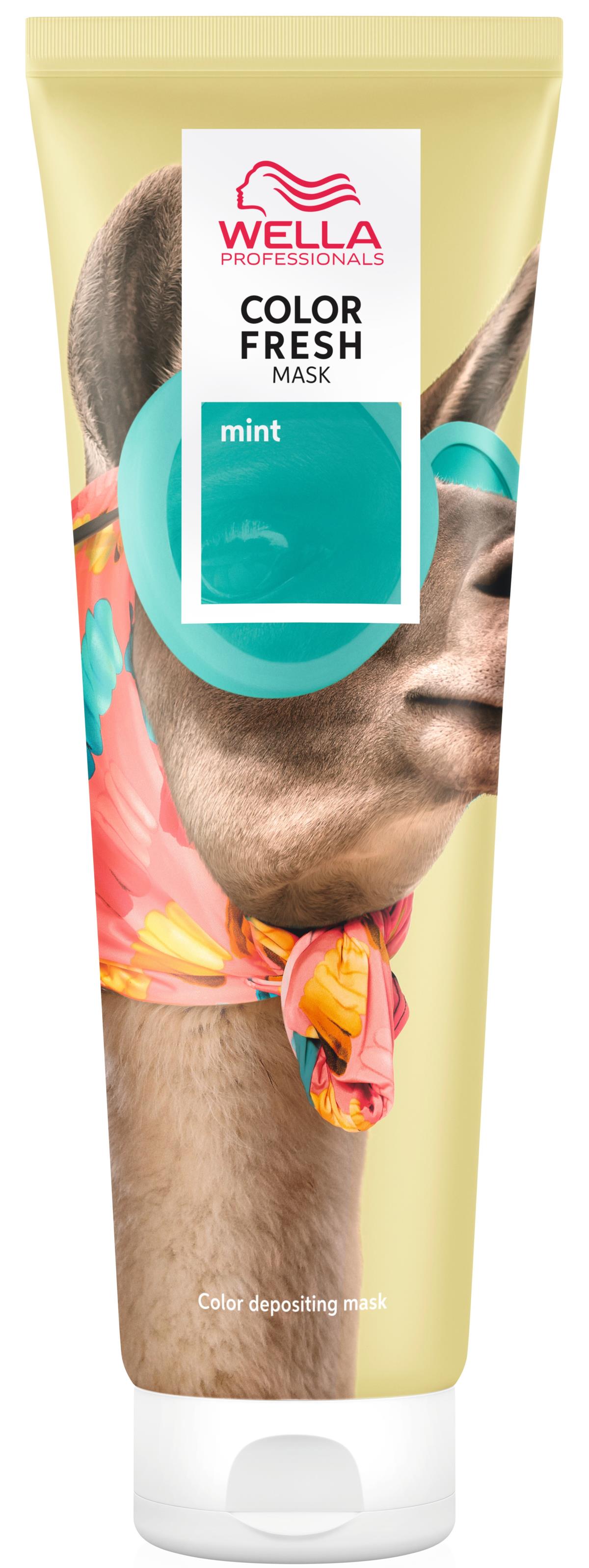 Wella Professionals Color Fresh Color Fresh Mask Mint | lyko.com