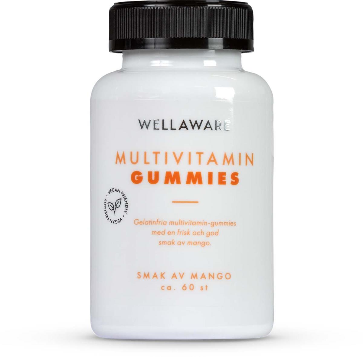 WellAware Multivitamin Gummies 60 St. | lyko.com