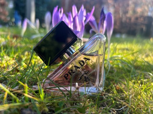 Prada Paradoxe Eau De Parfum 50 ml | lyko.com