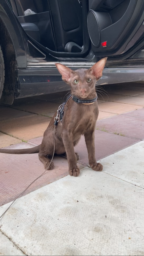 Maria Åkerberg | lyko.com